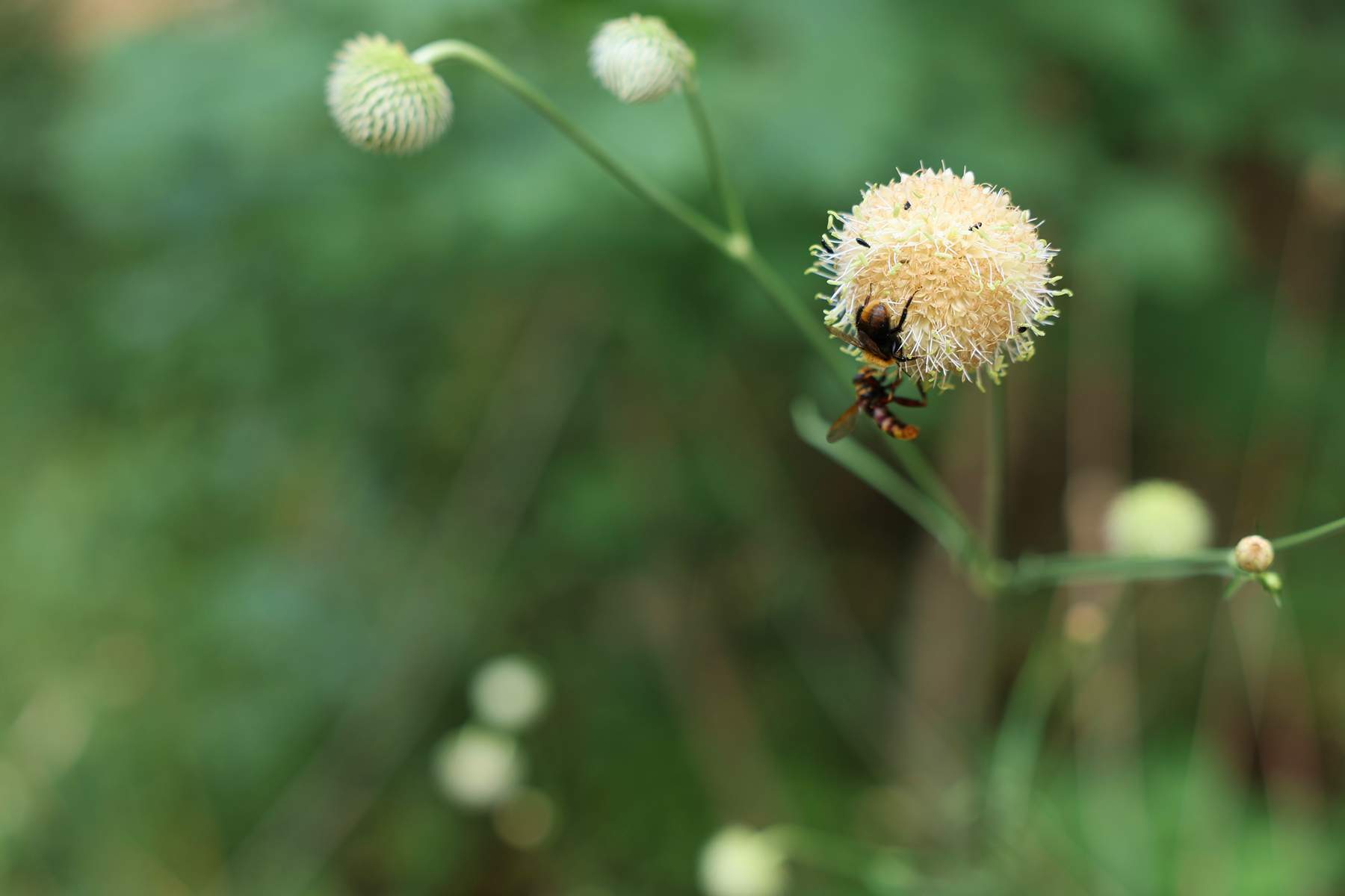 Întrebări și răspunsuri despre: inima curată, lupta duhovnicească, lume ...