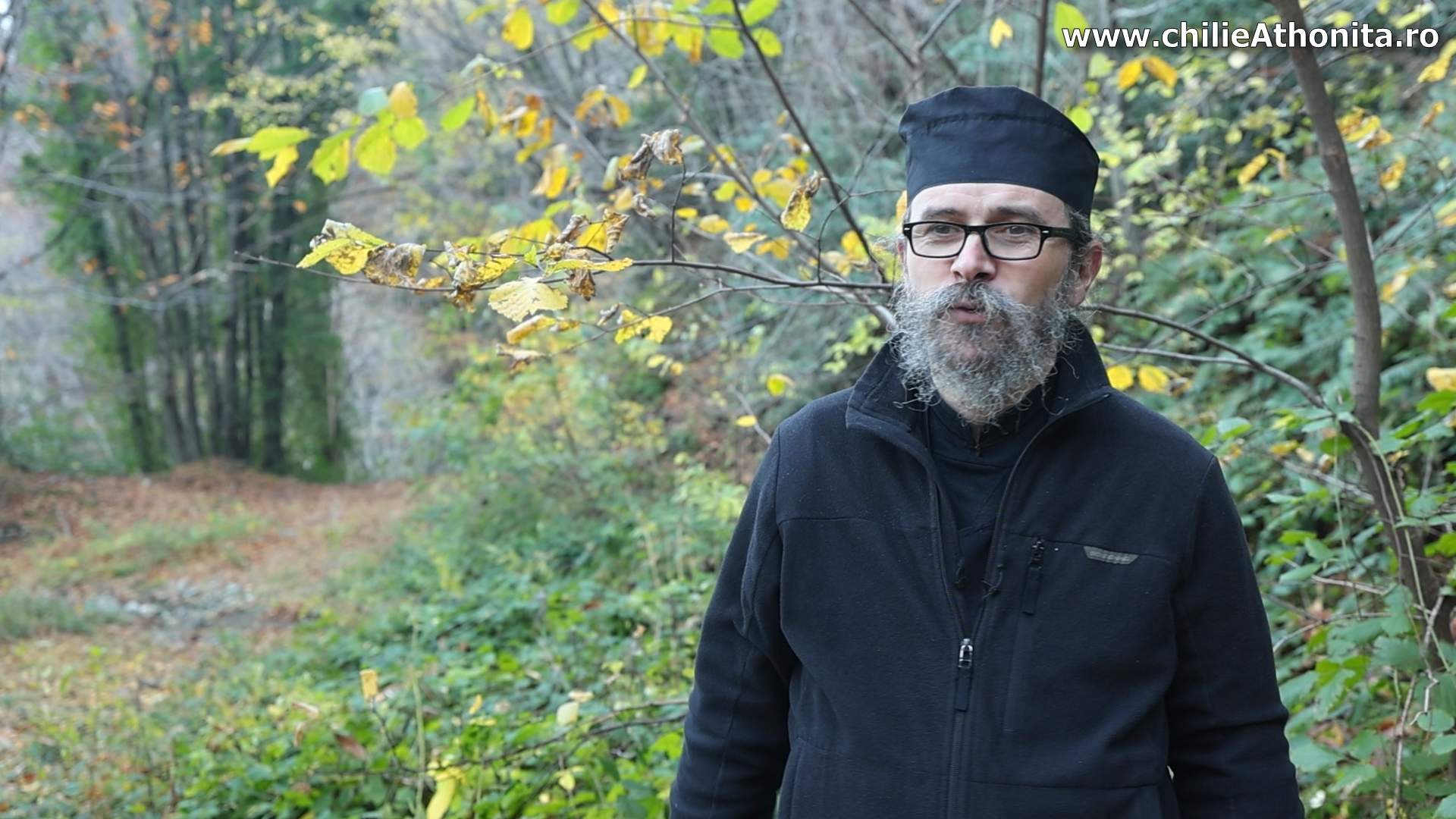 Experience, Reason, Orthodoxy, Catholicism – Father Theologos - An ...