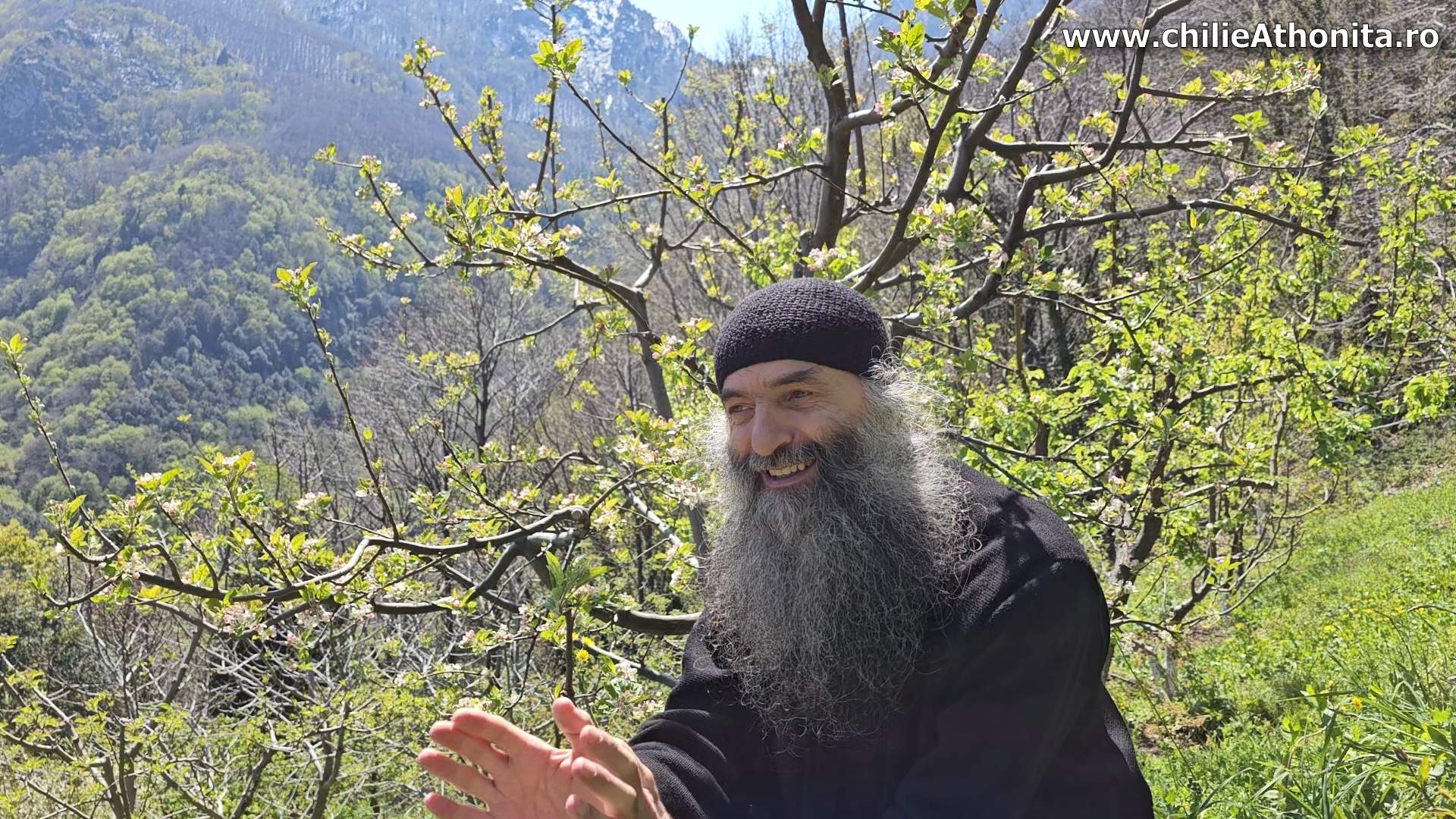 Săptămâna mare - p. Pimen Vlad - O Chilie Athonită: Bucurii din Sfântul ...